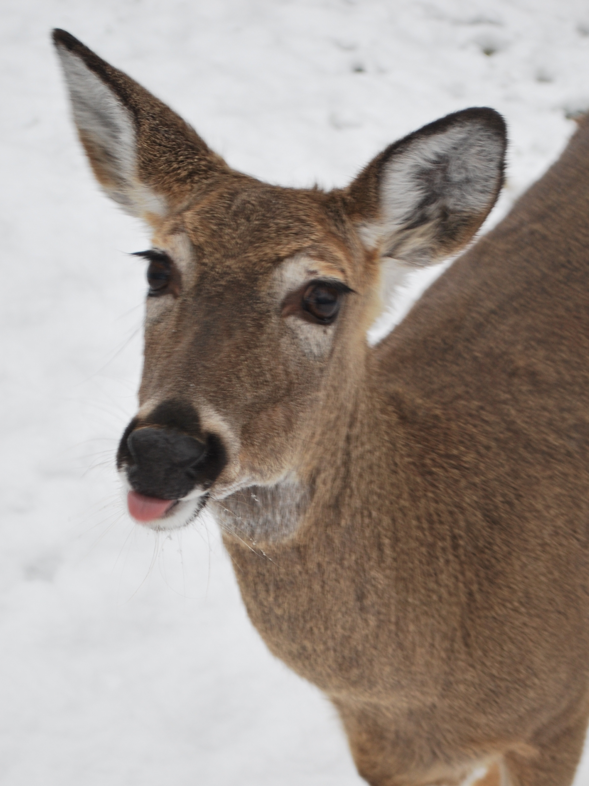 2020's | Mark Fleming Studio